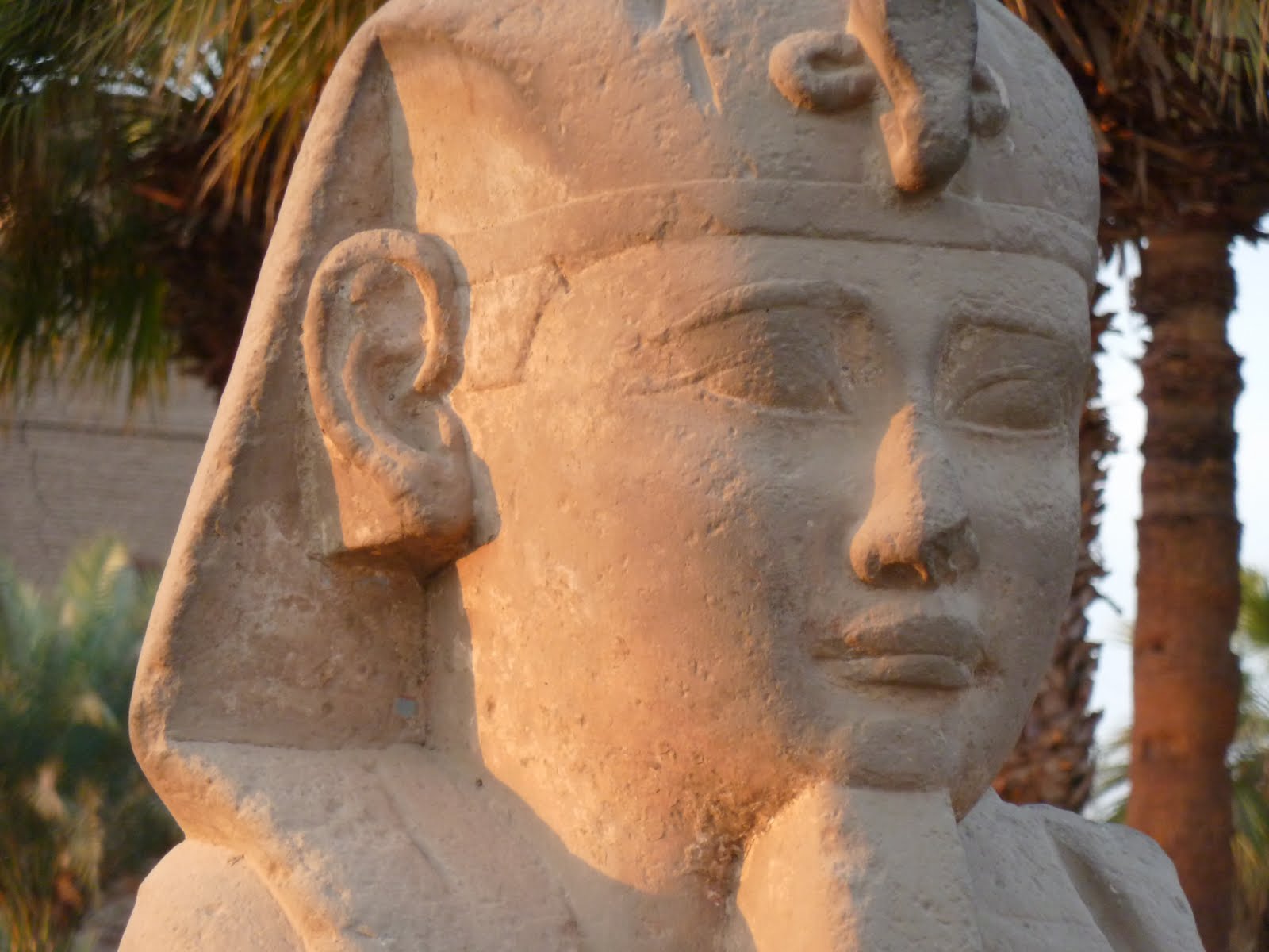 Lizard Feathers: Sphinx Avenue of the Gods