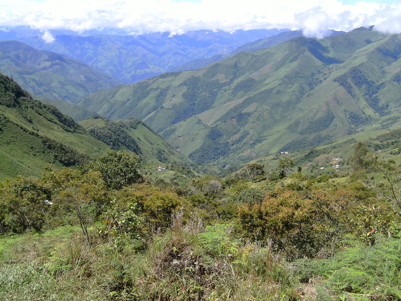 SANTA RITA DE ITUANGO ANTIOQUIA, COLOMBIA.(HOY SANTA RITA DE SINITAVÉ ...