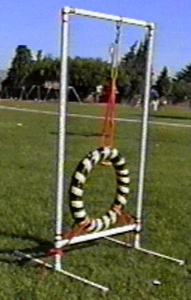 Grace and Buster: DIY Agility Equipment: Tire Jump