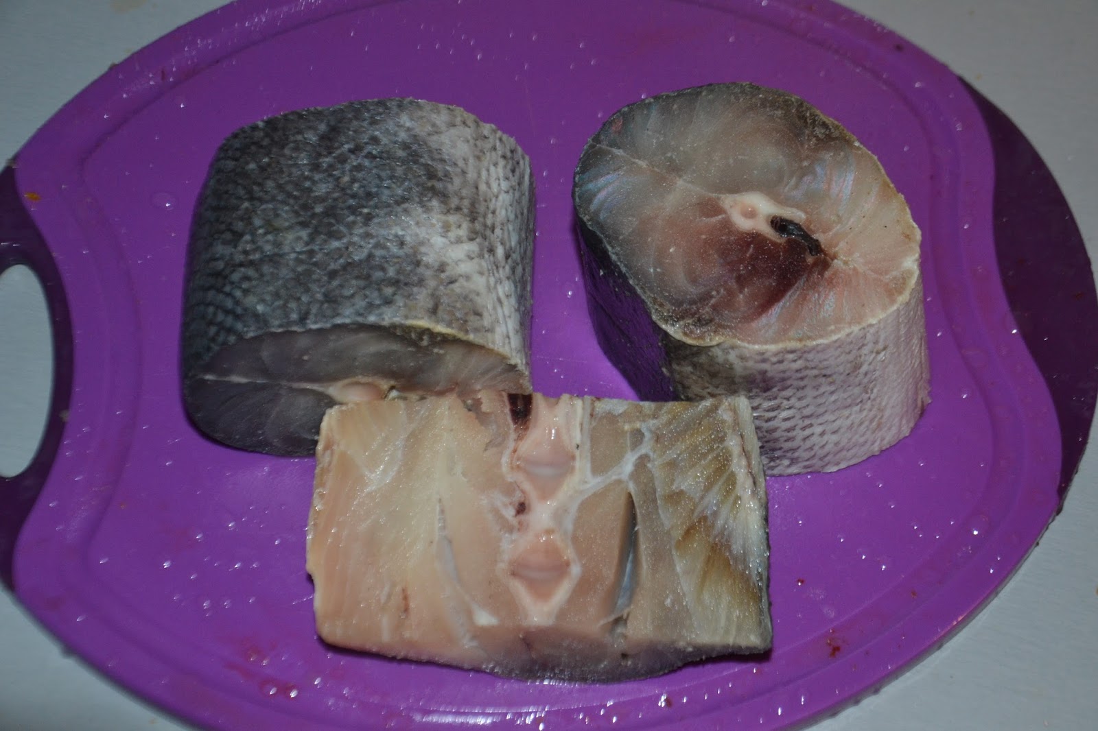 Oppdag Fisk!: Stripet Barrakuda/Striped Sea Pike/Sphyraena Obtusata ...