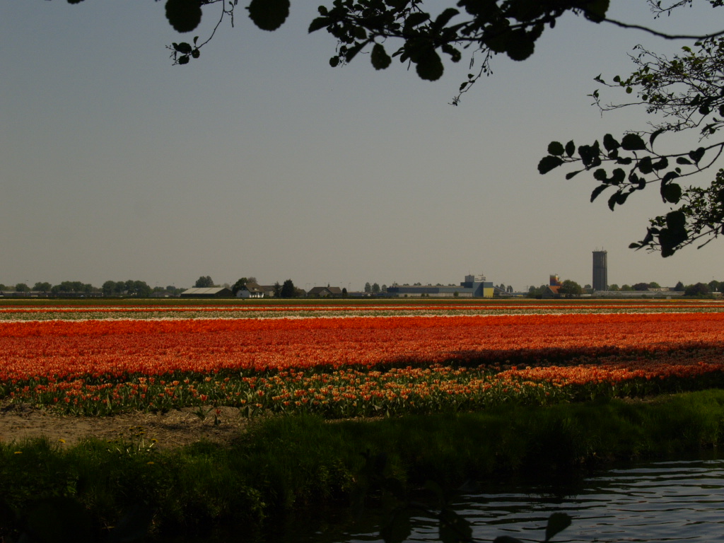 memori di bumi Eropah: aktiviti musim bunga...2011...di UK