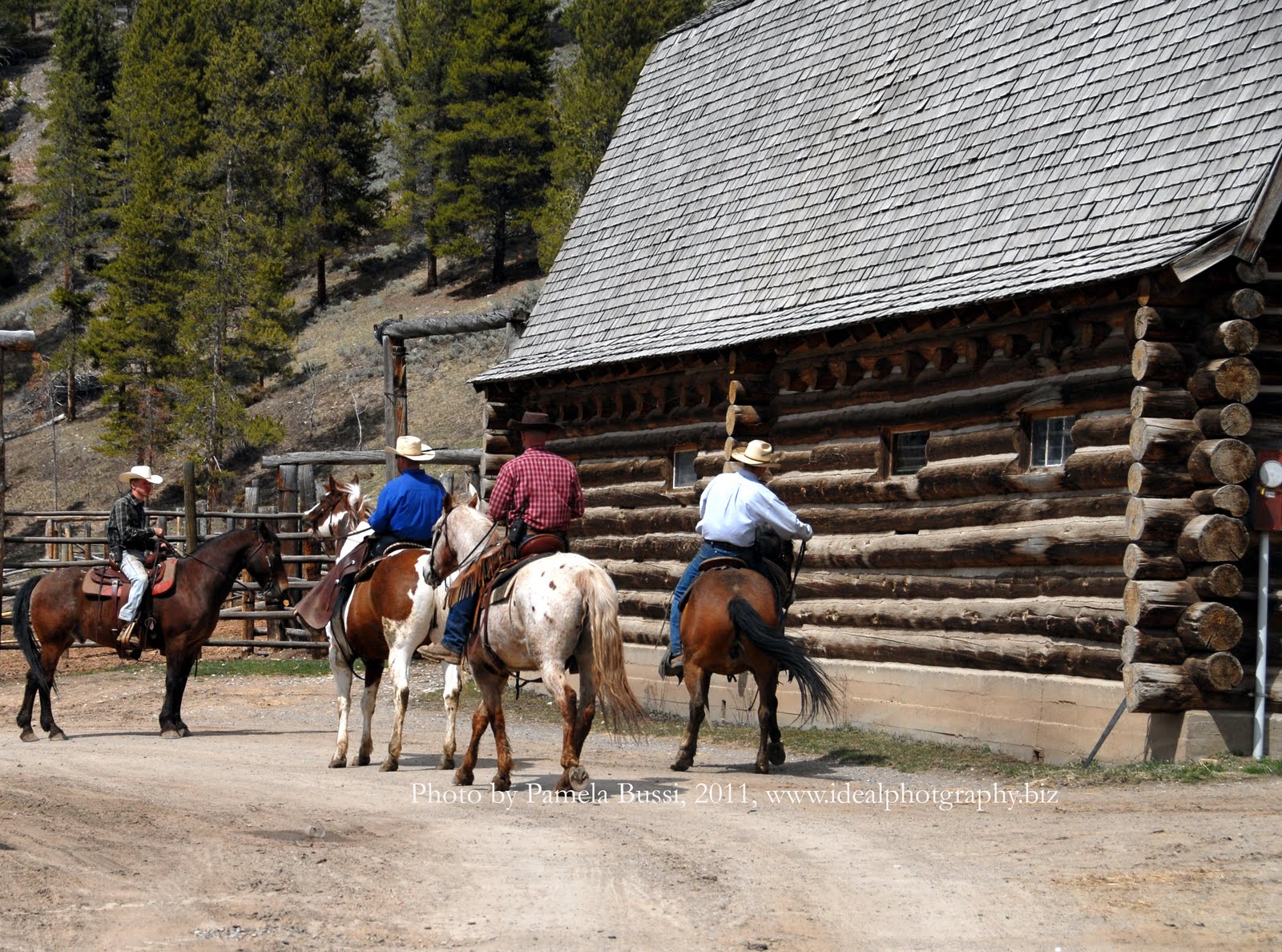 Restaurant Reviews: 320 Ranch