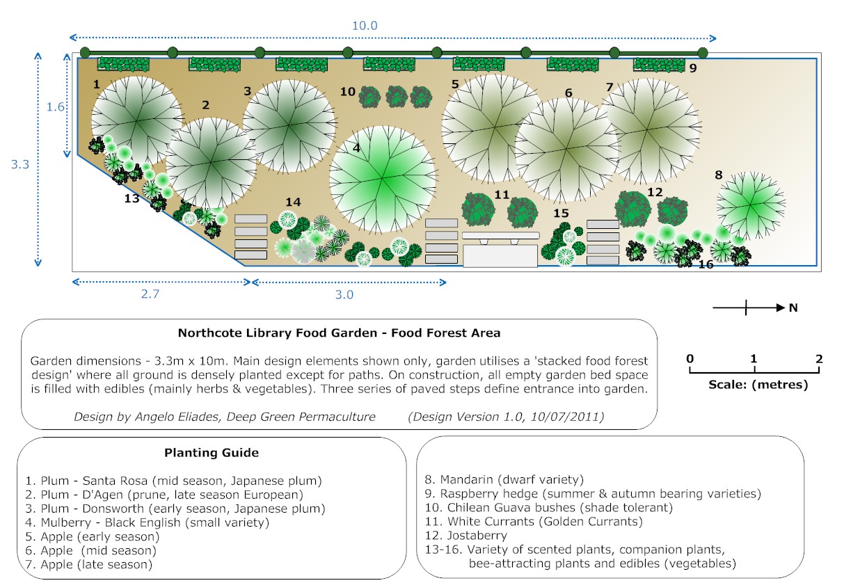 Northcote Library Food Garden: July 2011