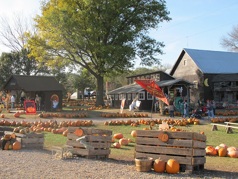 Gigglesandgumballs: Fall fun at Roca Berry Farm!