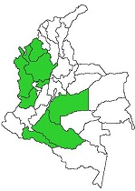 GRUPO INDÍGENA EMBERA