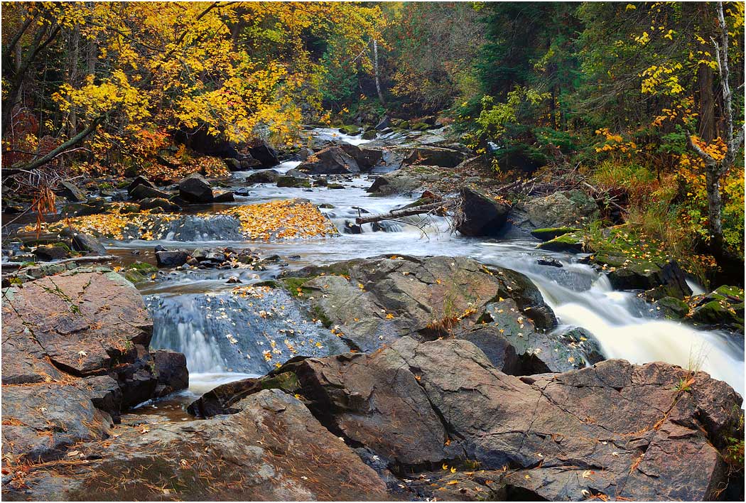 Silverpixel: FALL, CALLANDER,ONTARIO