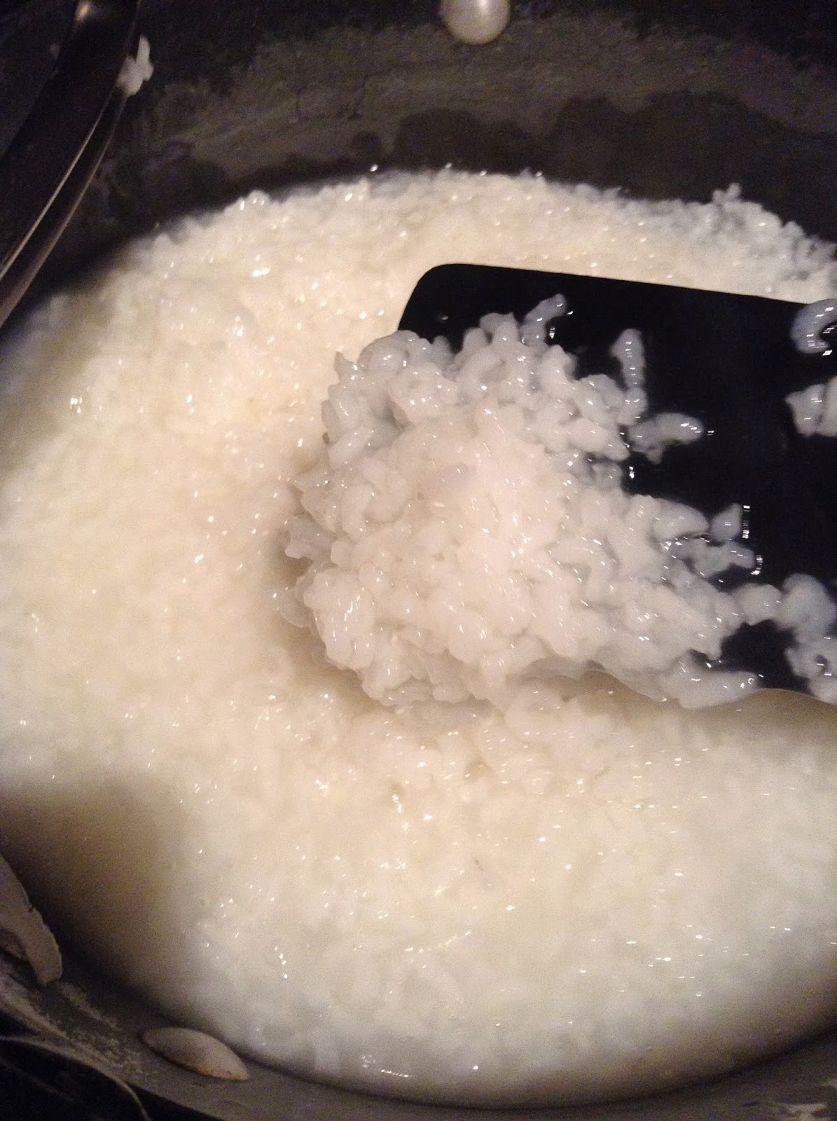 Japanese rice porridge / Okayu / Slow food recipe