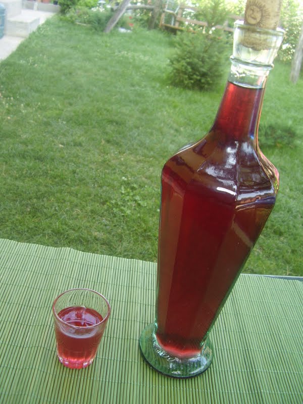 Myra's kitchen: Visinata