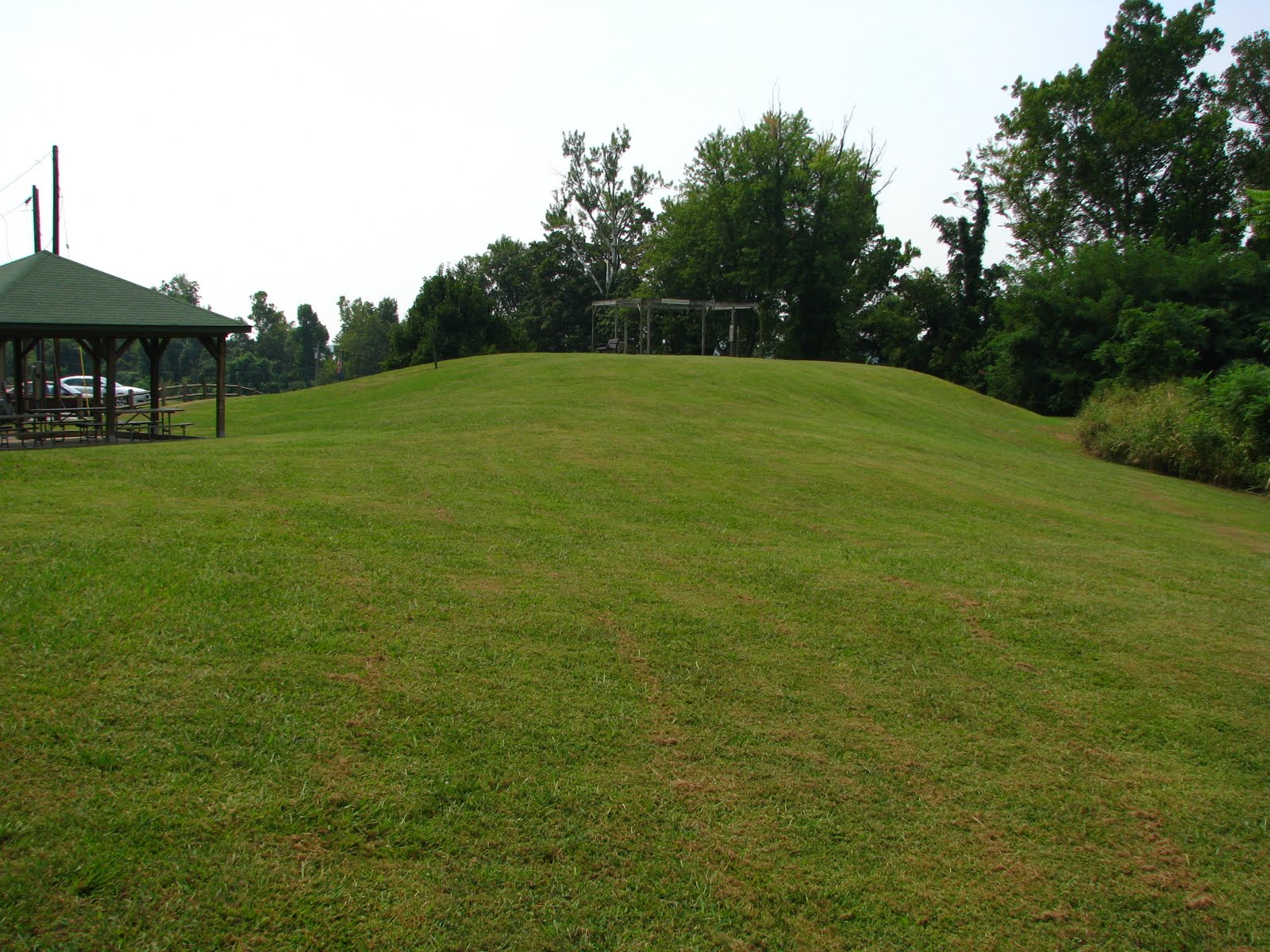 Big Butterfly Year: Wickliffe Mounds State Historic Site, Kentucky