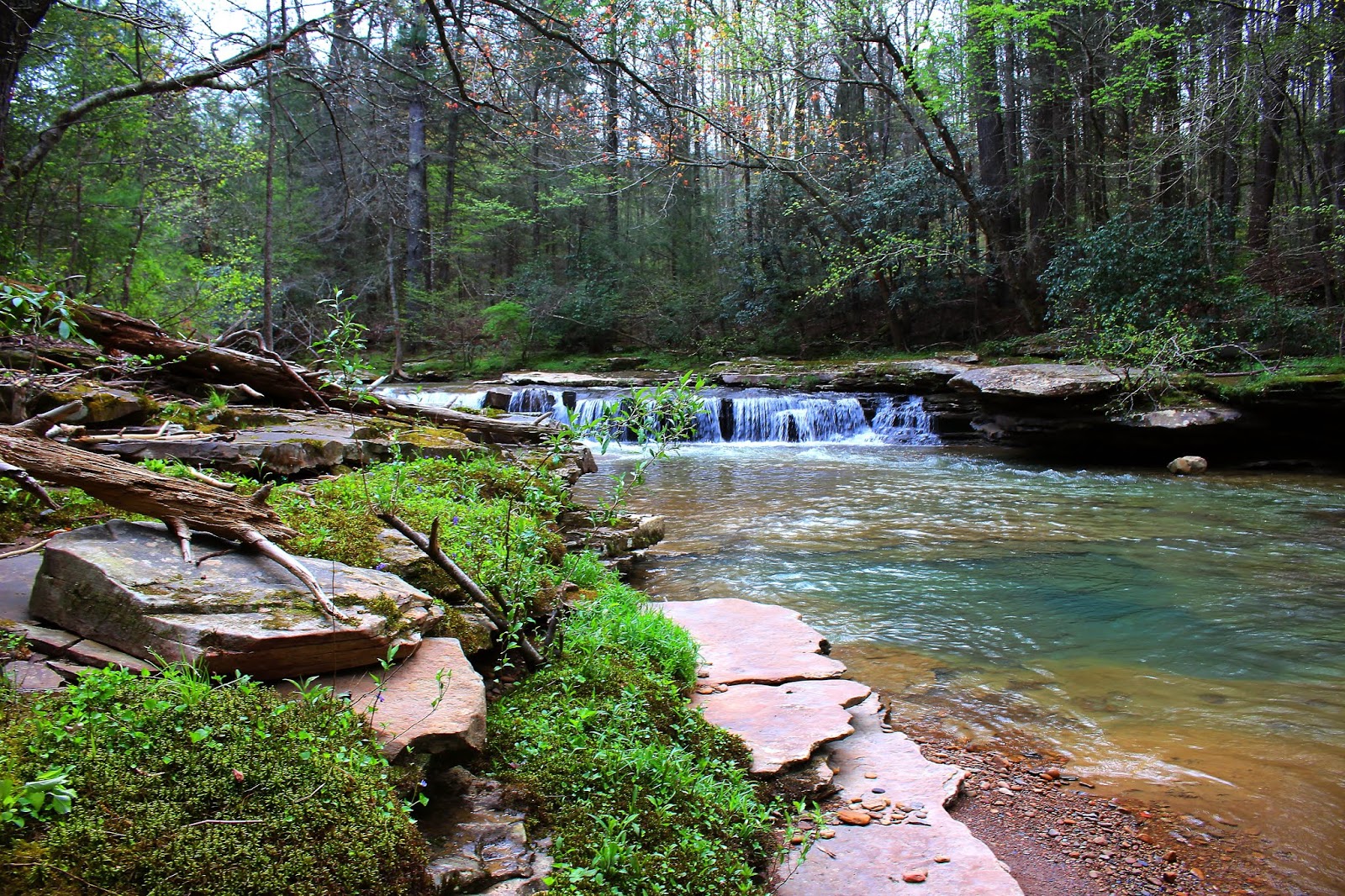 Cumberland Gal: Gobey Exploring in Spring