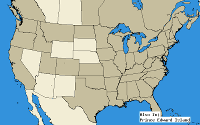 MObugs: Multi-Colored Asian Lady Beetle