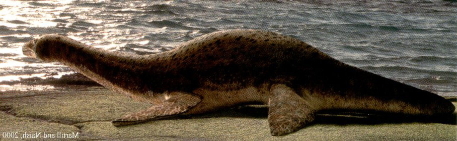 Frontiers of Zoology: Scott Mardis on Surviving Plesiosaurs in Cold ...