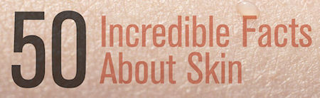 The Presurfer: 50 Incredible Facts About Your Skin