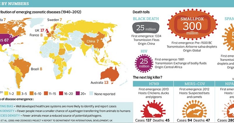 Pandemic Disease History Caused by Bacteria Heathy and Natural Life ...