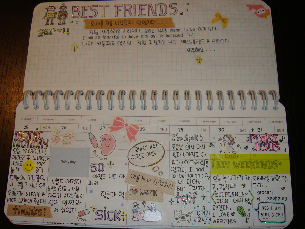 allison: How to Decorate Your Personal Diary