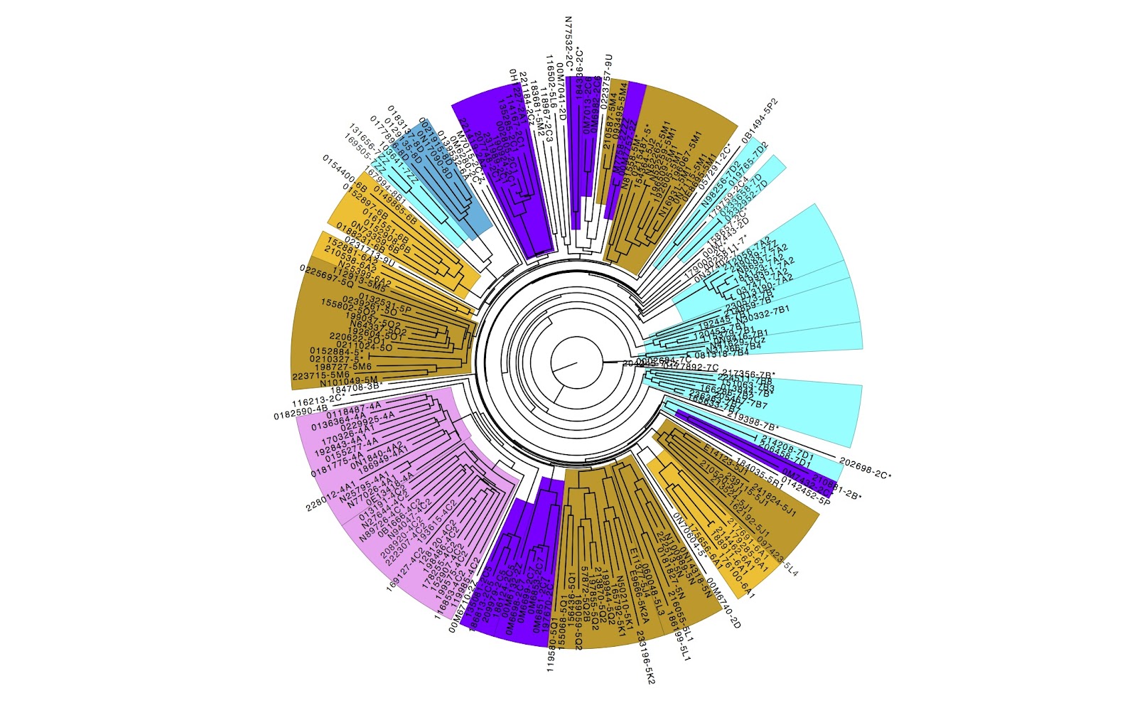 KurdishDNA: R1a1a comparison STR111 Part II