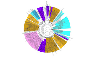 KurdishDNA: R1a1a comparison STR111 Part II