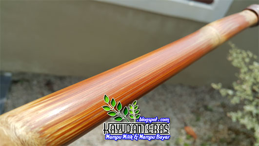 Koleksi Teras Kayu dan Batu: :: Tongkat Terbaik :: Tongkat Rotan ...