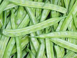 GUAR GUM INFORMATION AND GUAR GUM CULTIVATION IN INDIA: GUAR GUM PROCESSING