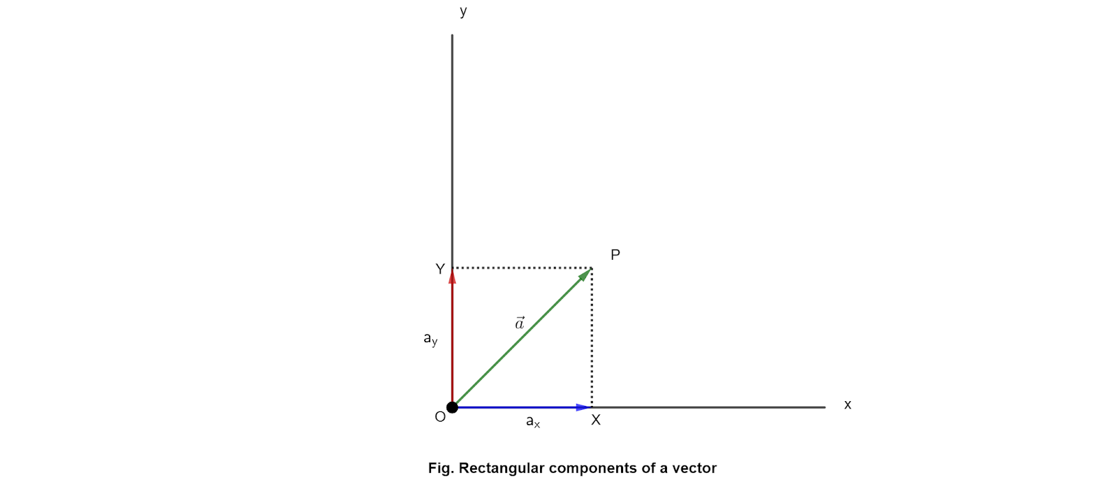 Scalars and Vectors | Complete notes | Important Questions | Class 11 ...