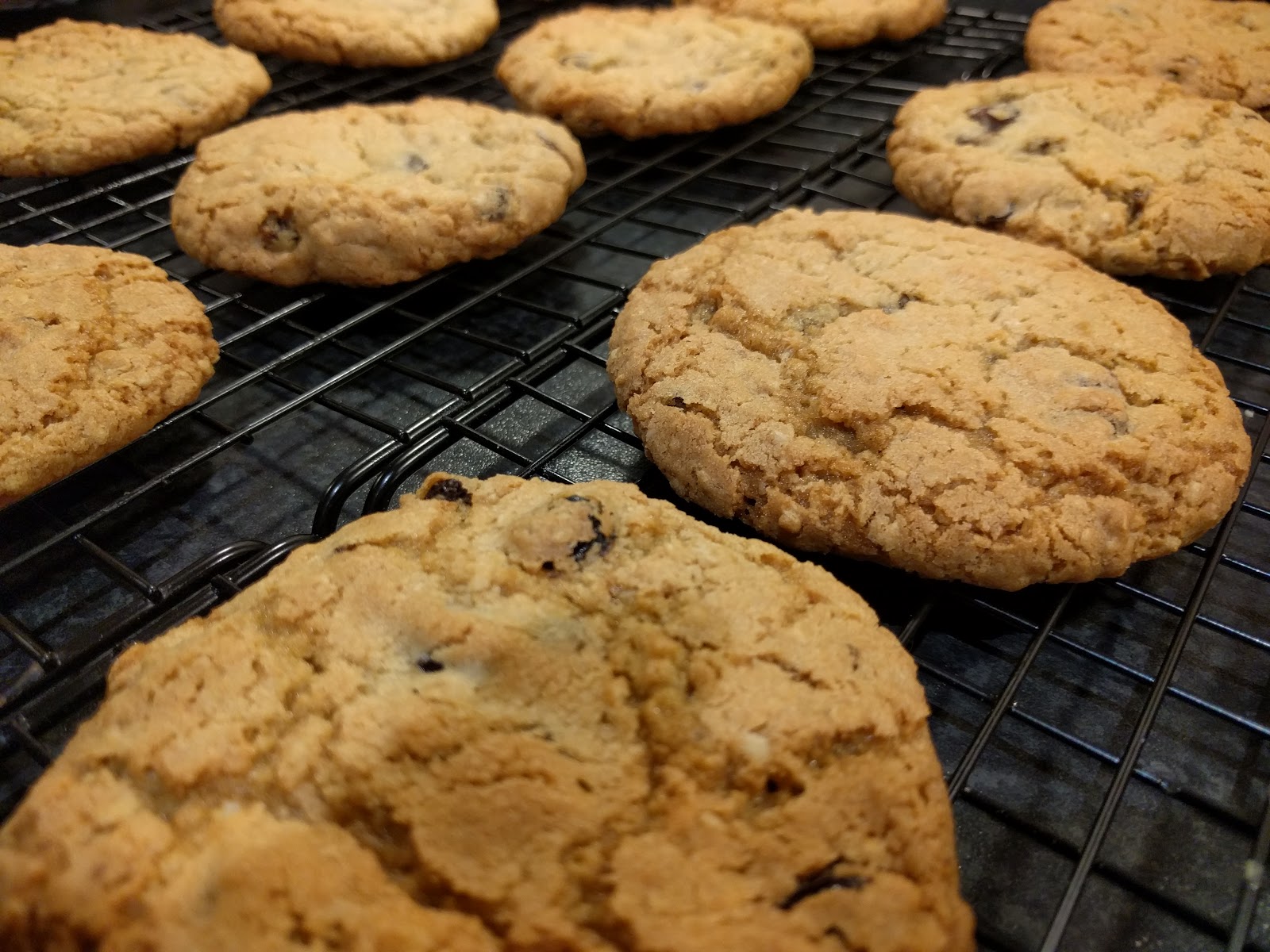 Biscuit Double-Bill - Chocolate Shortbread and Oat'n'Raisin Cookies ...