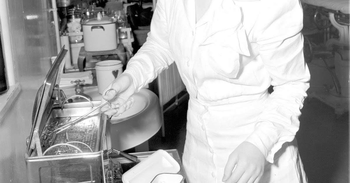 Curiosities & Wonders: Nancy Hendricks