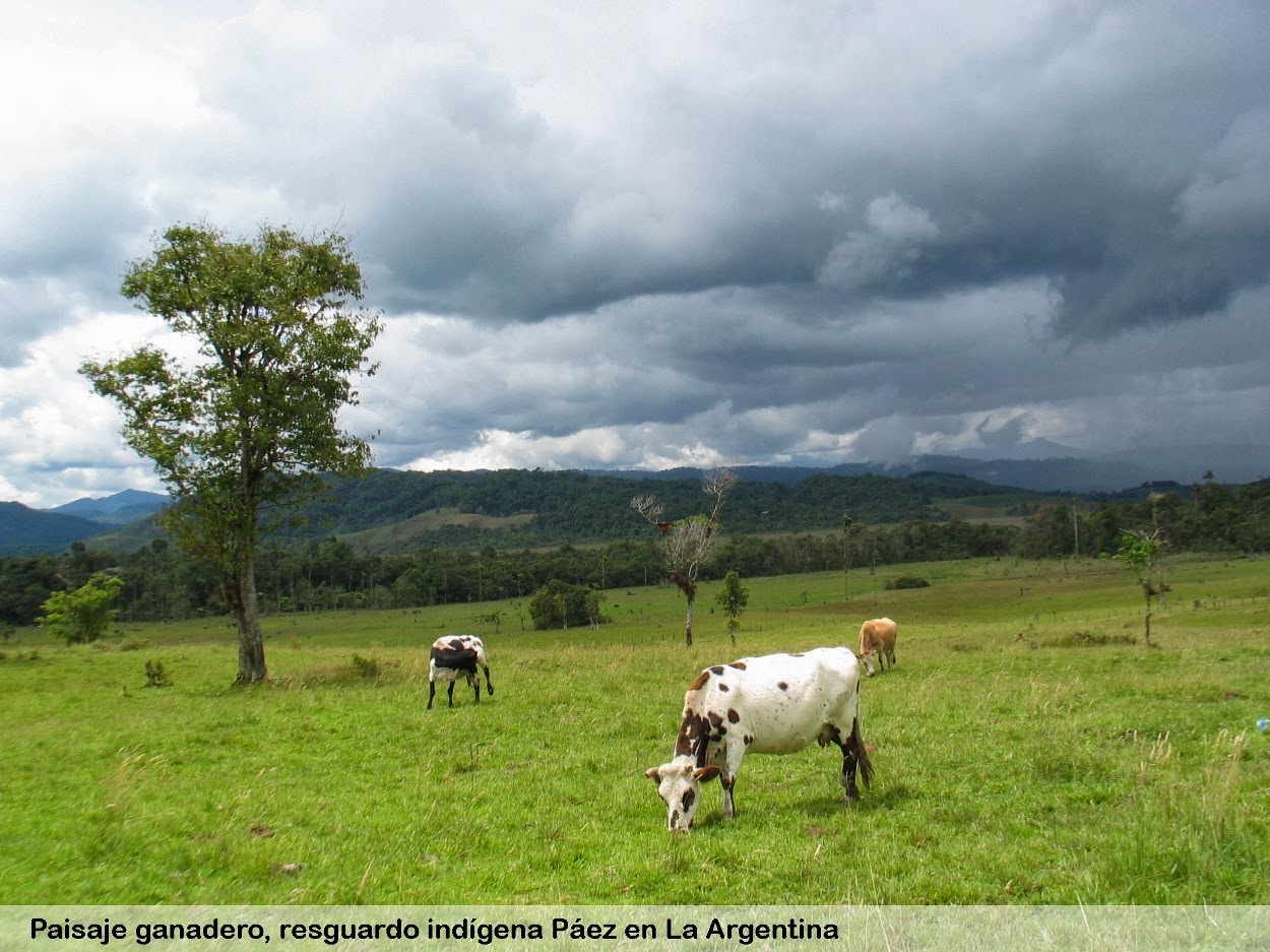 Arte, cultura y turismo: Fotos del Campo Colombiano (Paisajes del Huila)