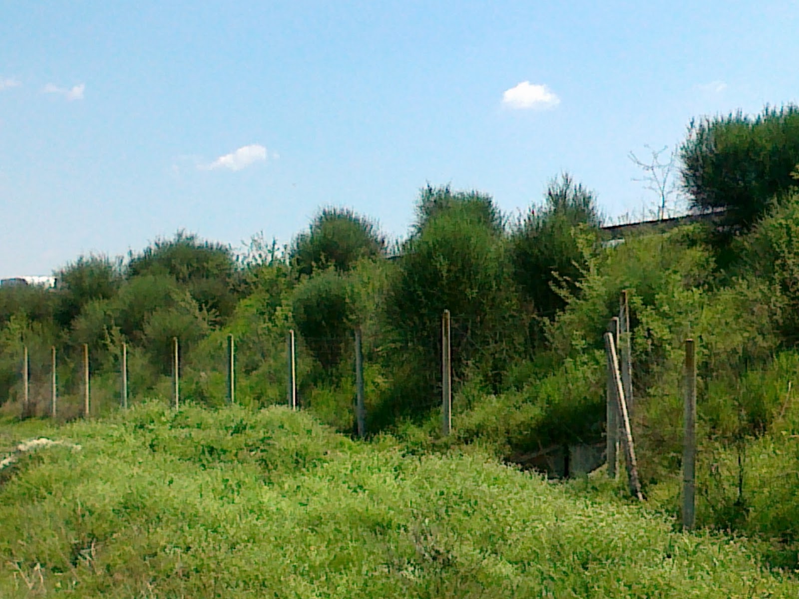 AMMOSIMATHIA BLOG: ΕΓΚΑΤΑΛΕΙΨΗ ΚΑΙ ΣΚΟΥΠΙΔΑΡΙΟ.