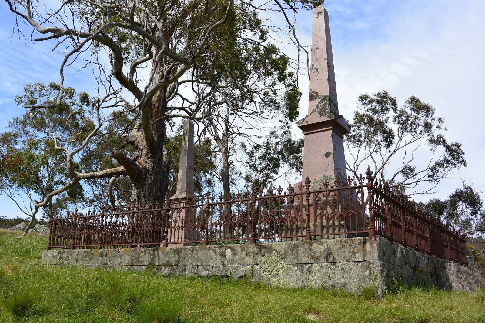 Barwon Blog: 'Ballark'