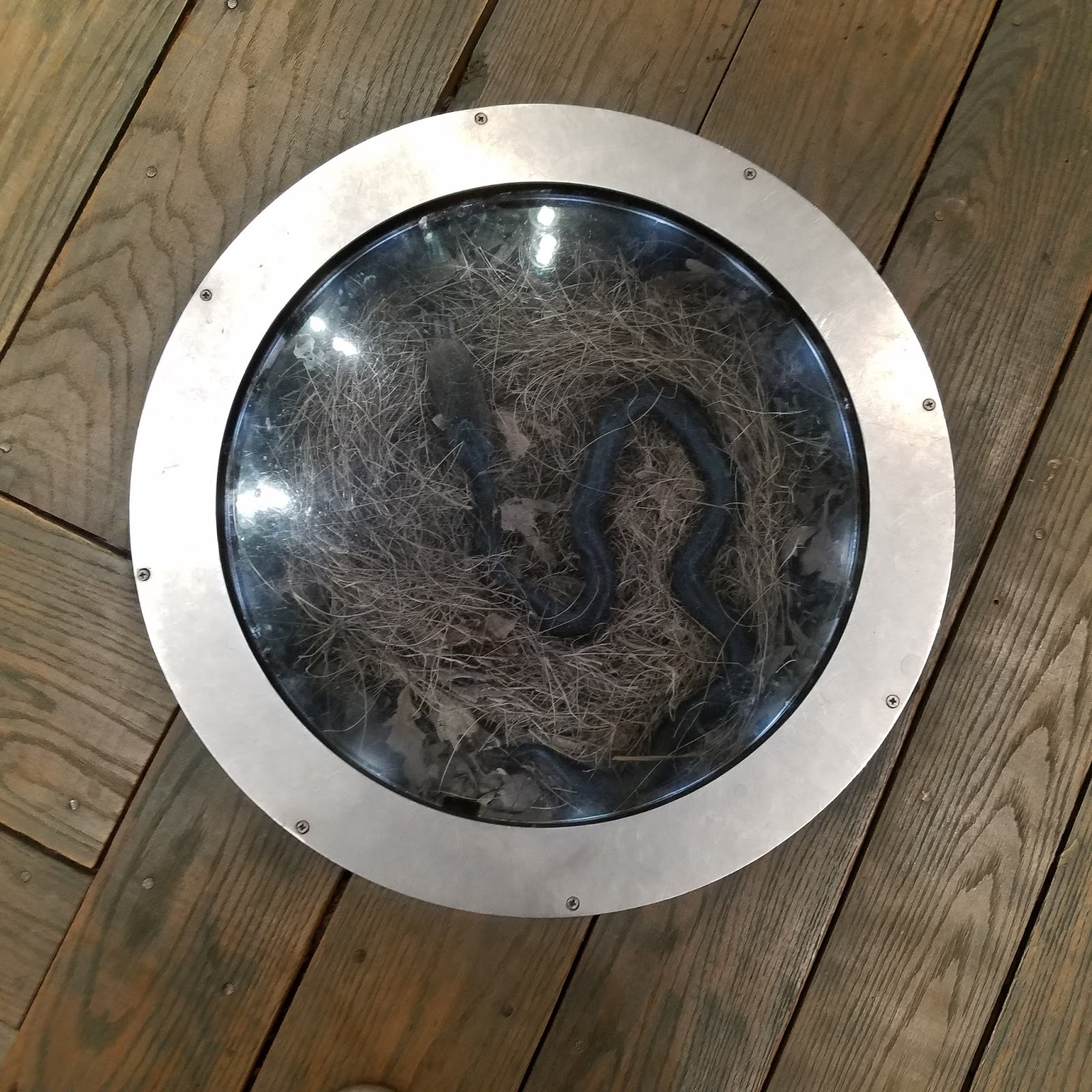 Play St. Louis: Powder Valley Nature Center, Kirkwood