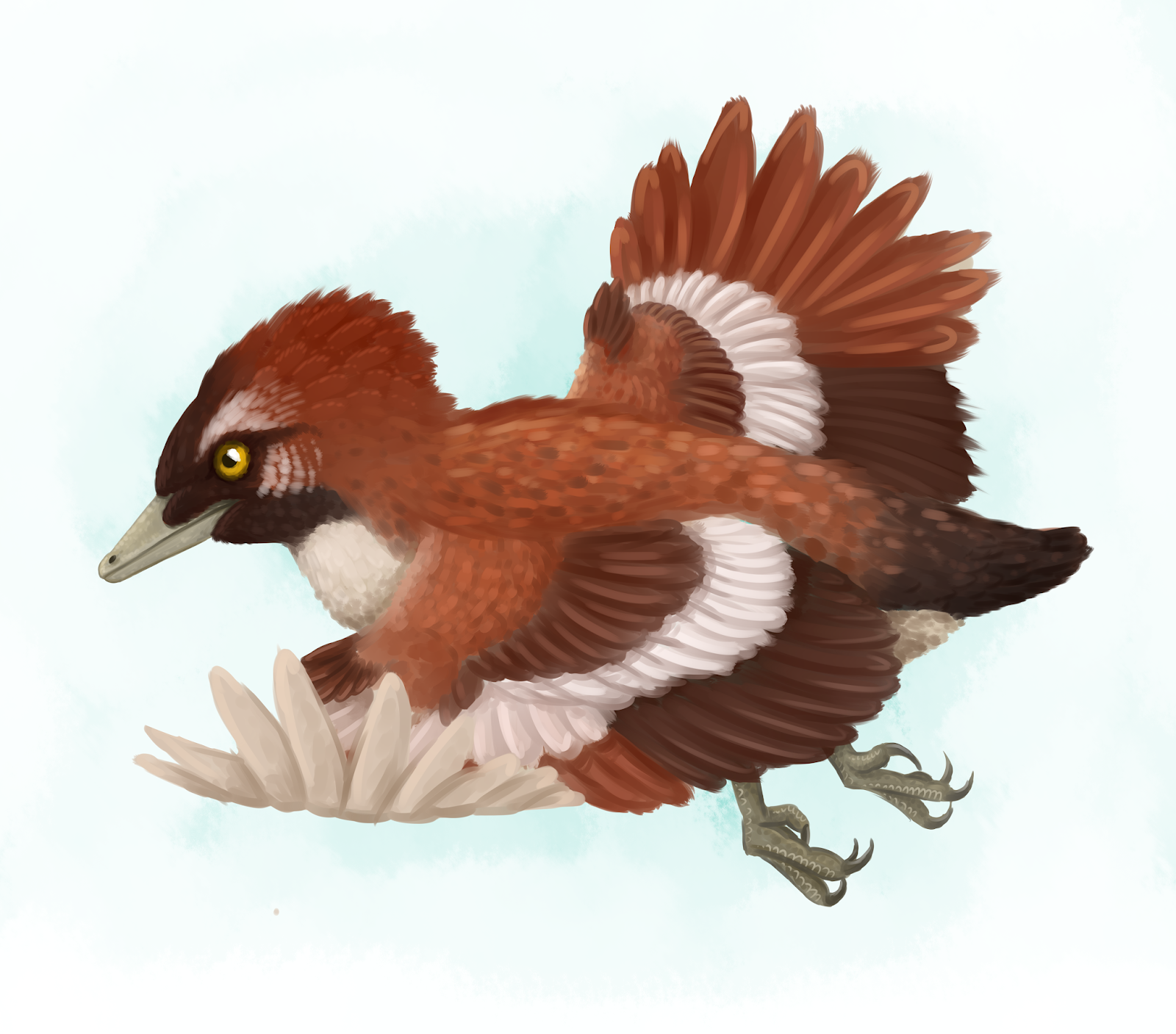Raptormaniacs: What's the Deal with Enantiornithean Tails?