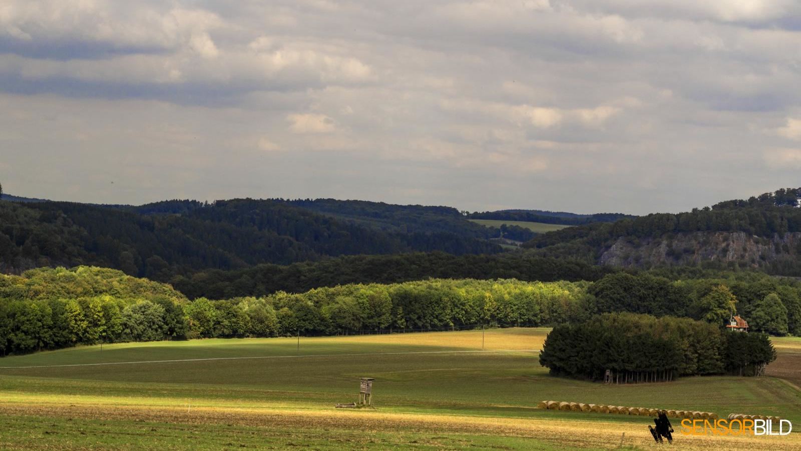 SensorBild: Balver Wald