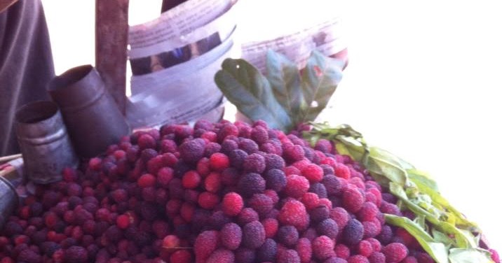 Taste of Nepal: Kaaphal or Kafal Fruit - काफल - (Bay-Berry)