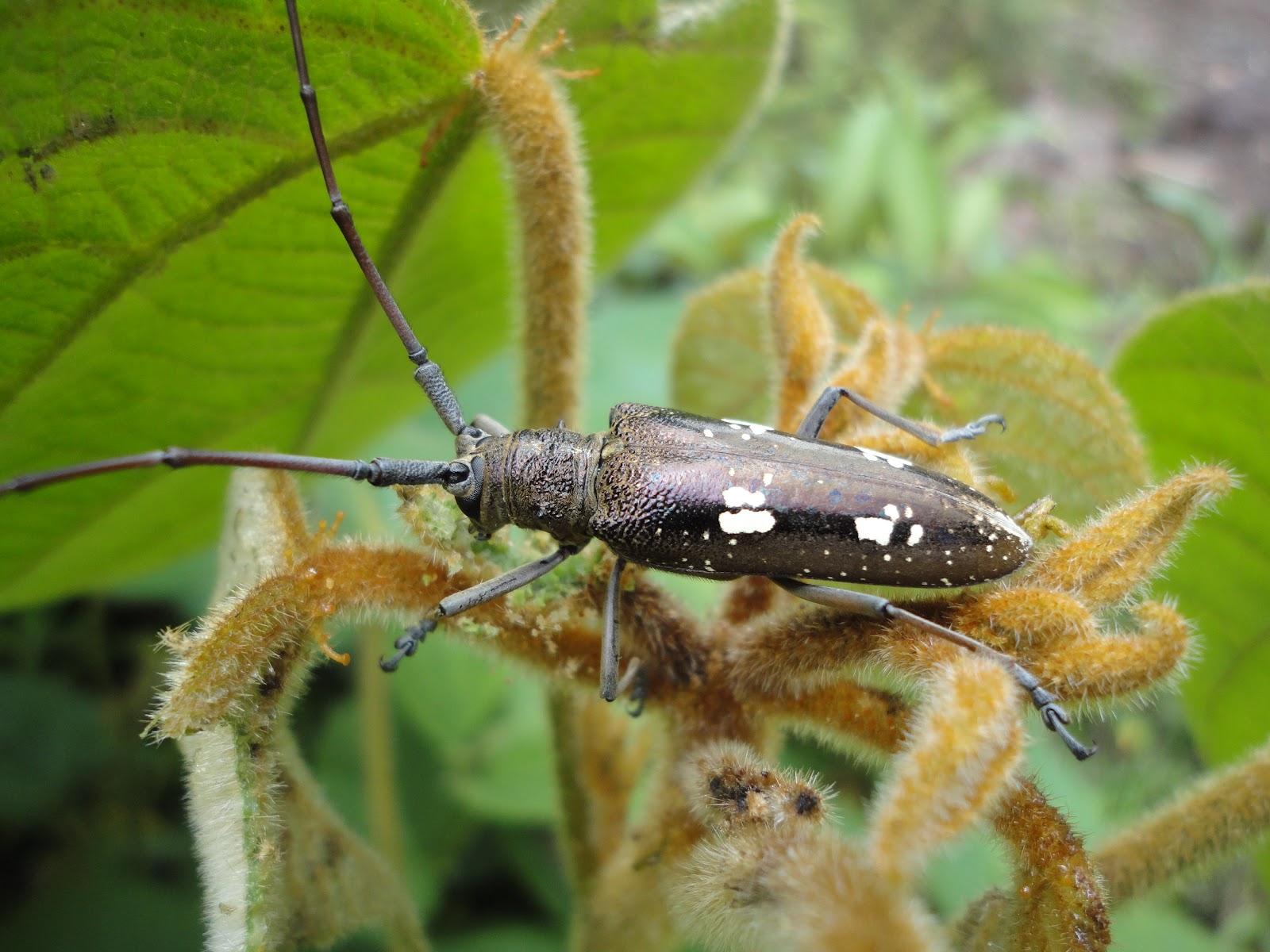 Exposición Fotográfica de la Biodiversidad: Biodiversidad Fotográfica ...