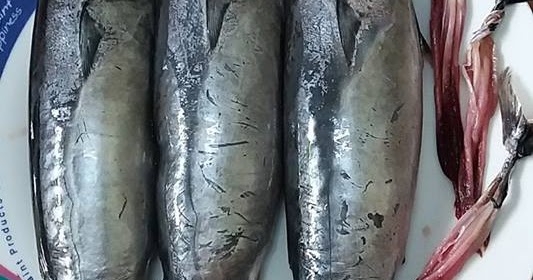 Cara Mudah Hilangkan Bisa Ikan Tongkol Aye Kayu | Panas
