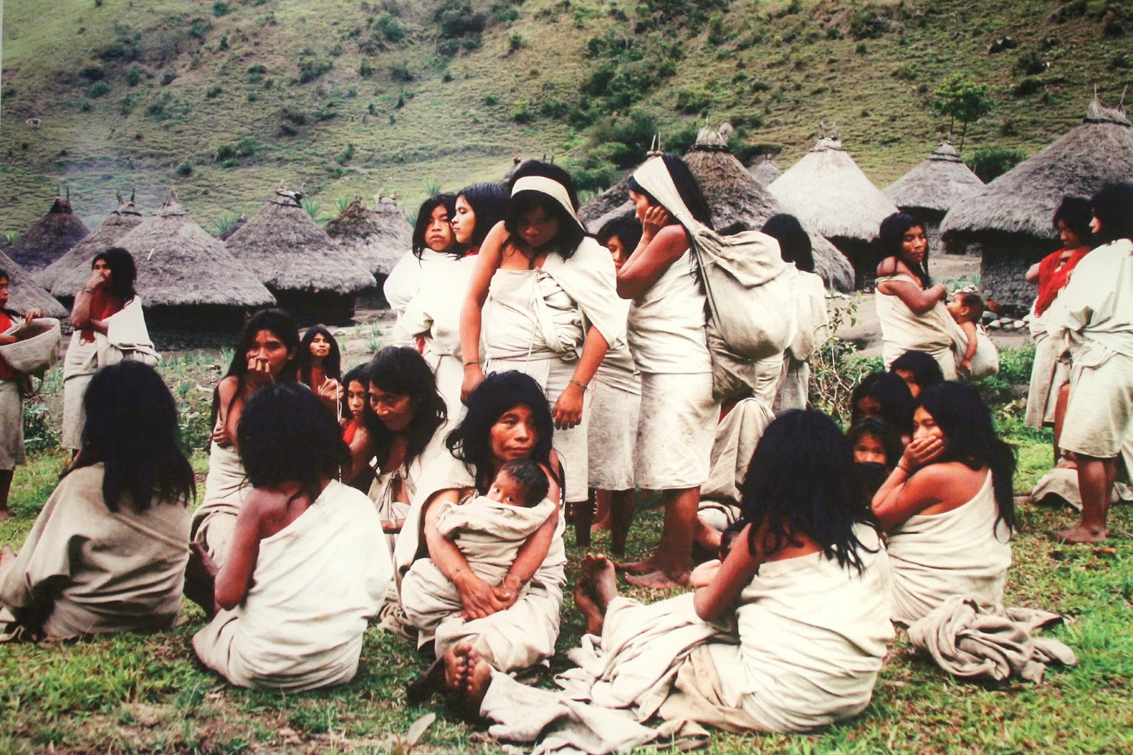 Aprendiz de biólogo y de artista: El Mamo y su pueblo Kogui