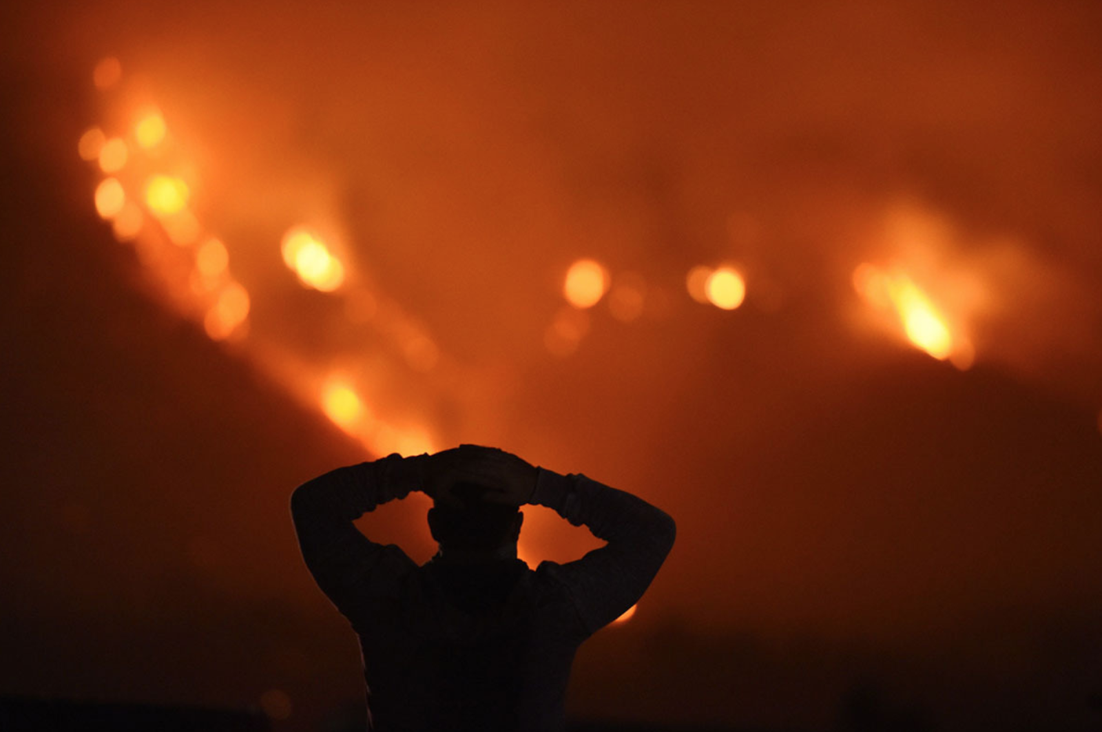 Body Language & Emotional Intelligence: Body Language Analysis No. 4153 ...