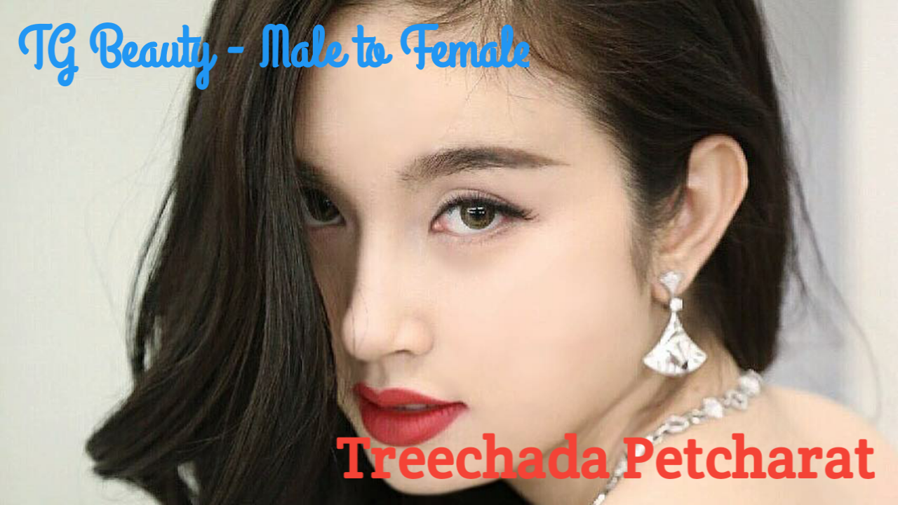 Treechada Petcharat – Male to Female Timeline
