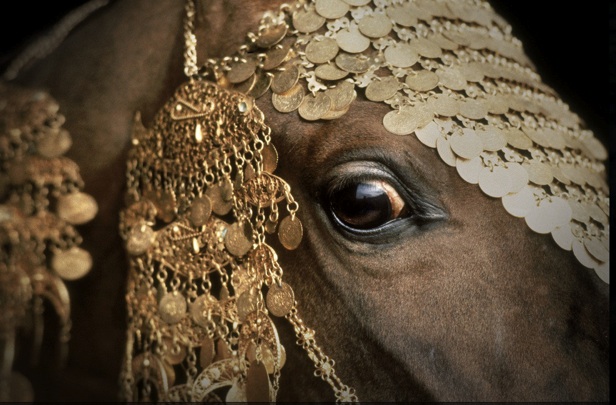 The Relished Roost: The works of Robert Vavra!