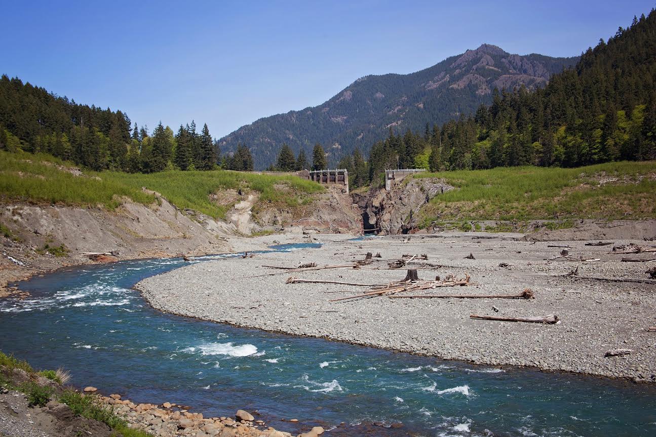 NTHS Outdoor Adventure Club: Elwha Valley and Elwha River Restoration
