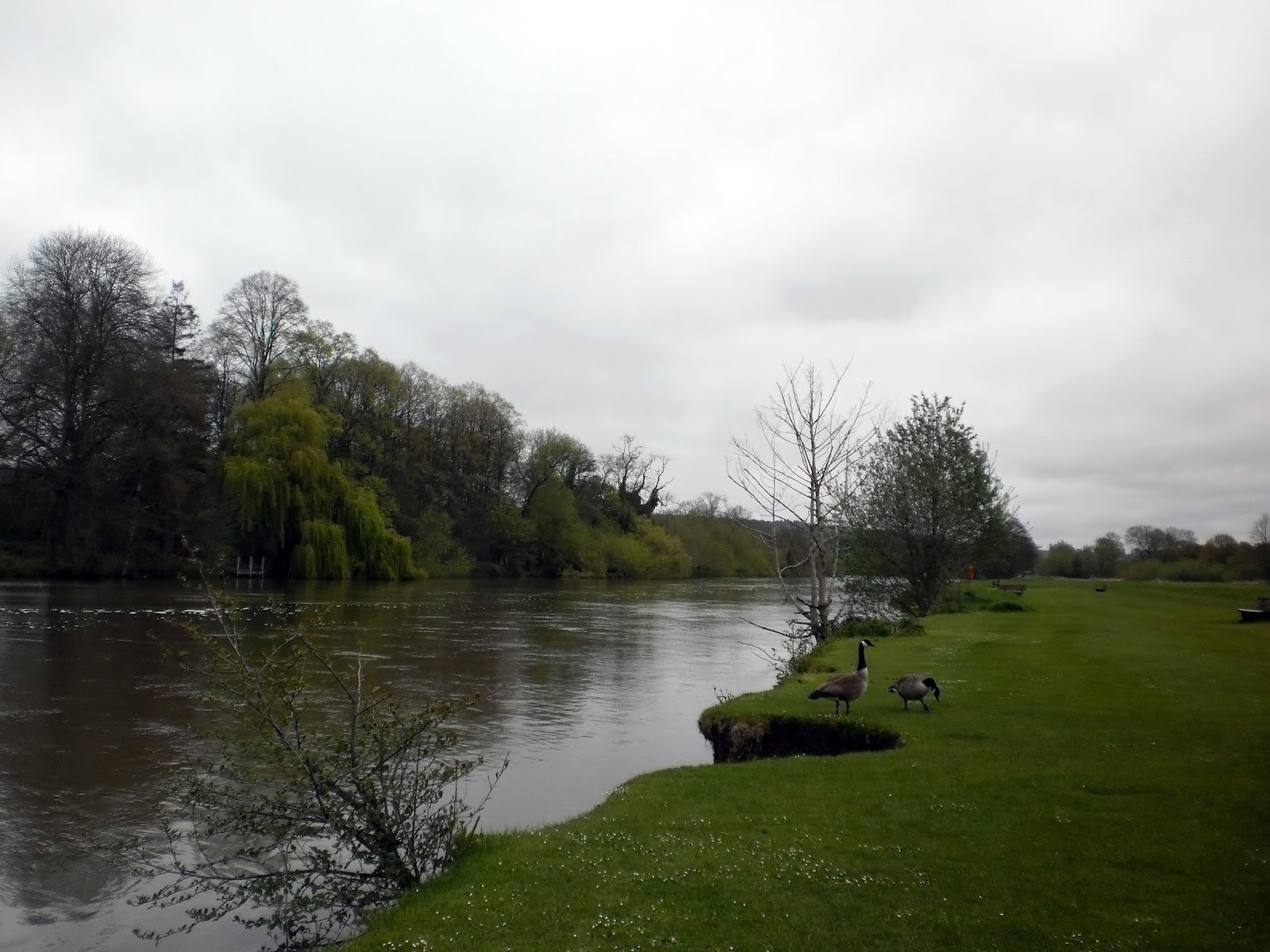 Las rutas de Nu: Thames Path: Reading to Goring
