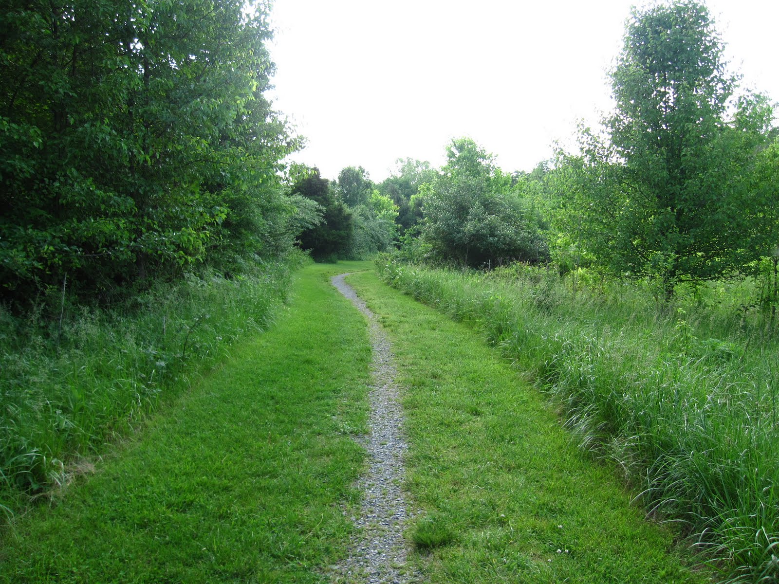 The Next Best Thing.....: Bles Park in Ashburn, VA!