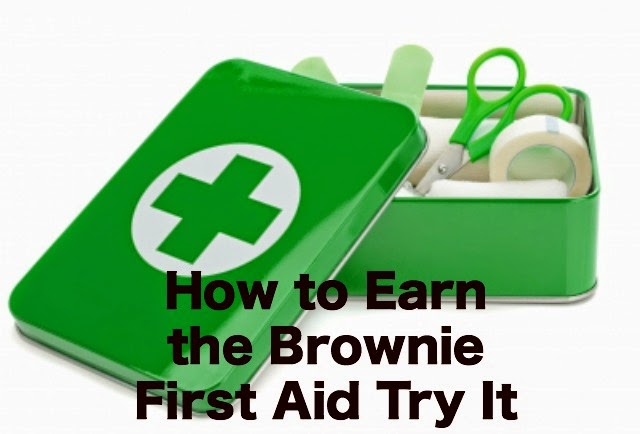 How to Earn Brownie Badges and Try Its: How to Earn the Brownie First ...