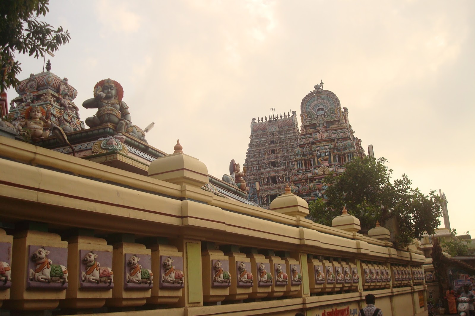 Chennai Daily Photo: September 2013