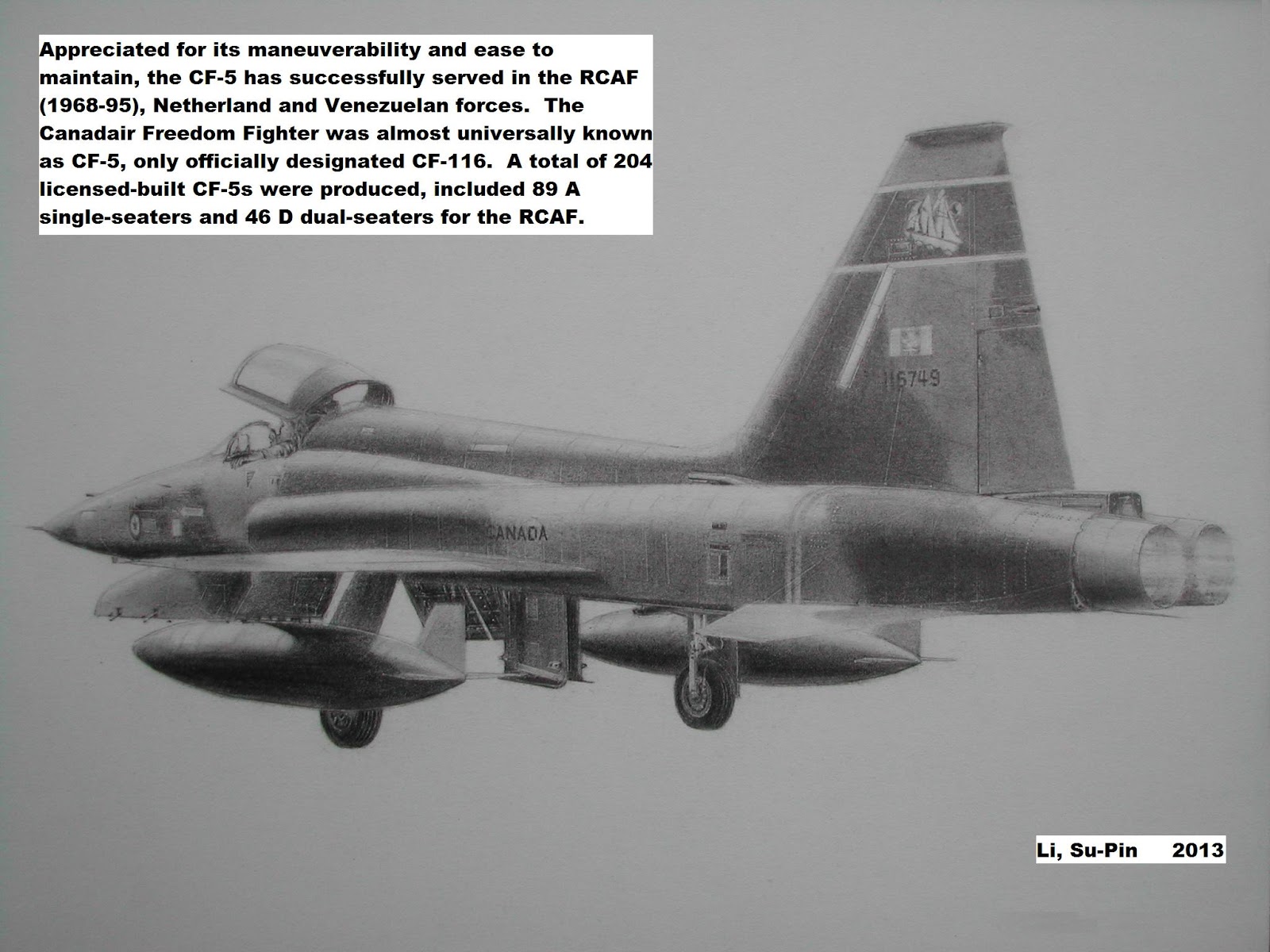 Uncle Airplane: 2013