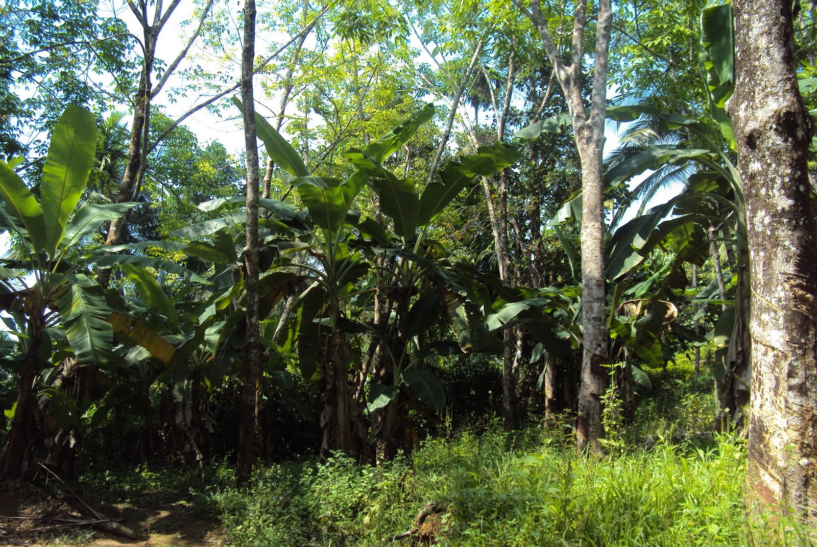 Following the Dreams...: March 2011