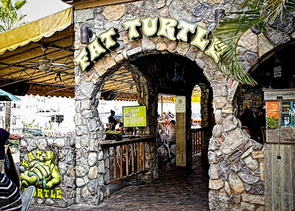 Eye of the Big Dog: The Fat Turtle, St. Thomas,VI