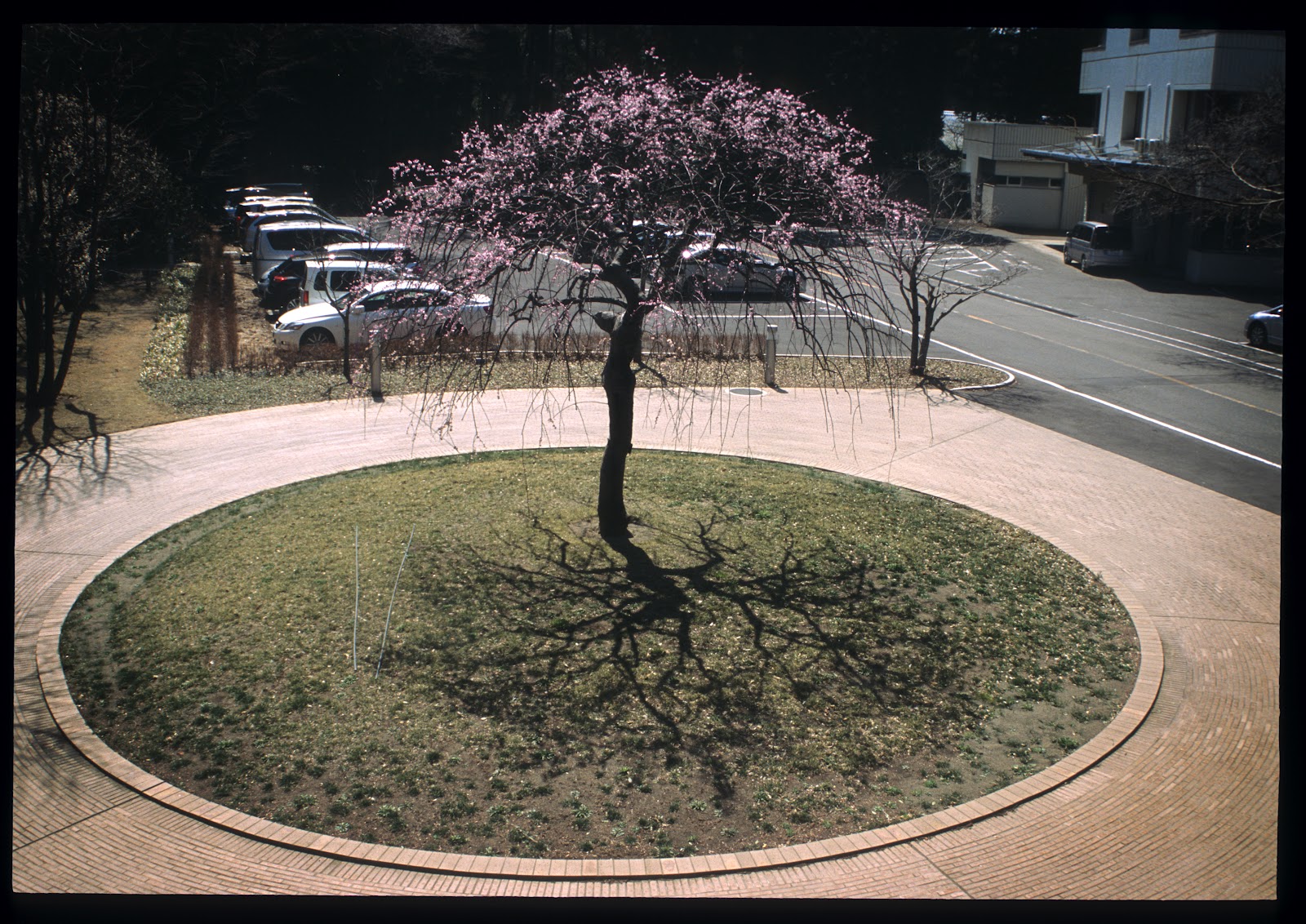 Tok'yall: Reitaku University