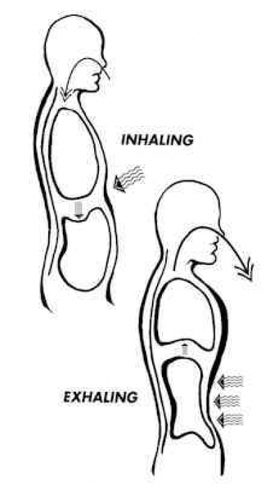 Beach Babe Fitness: Inhale, Exhale