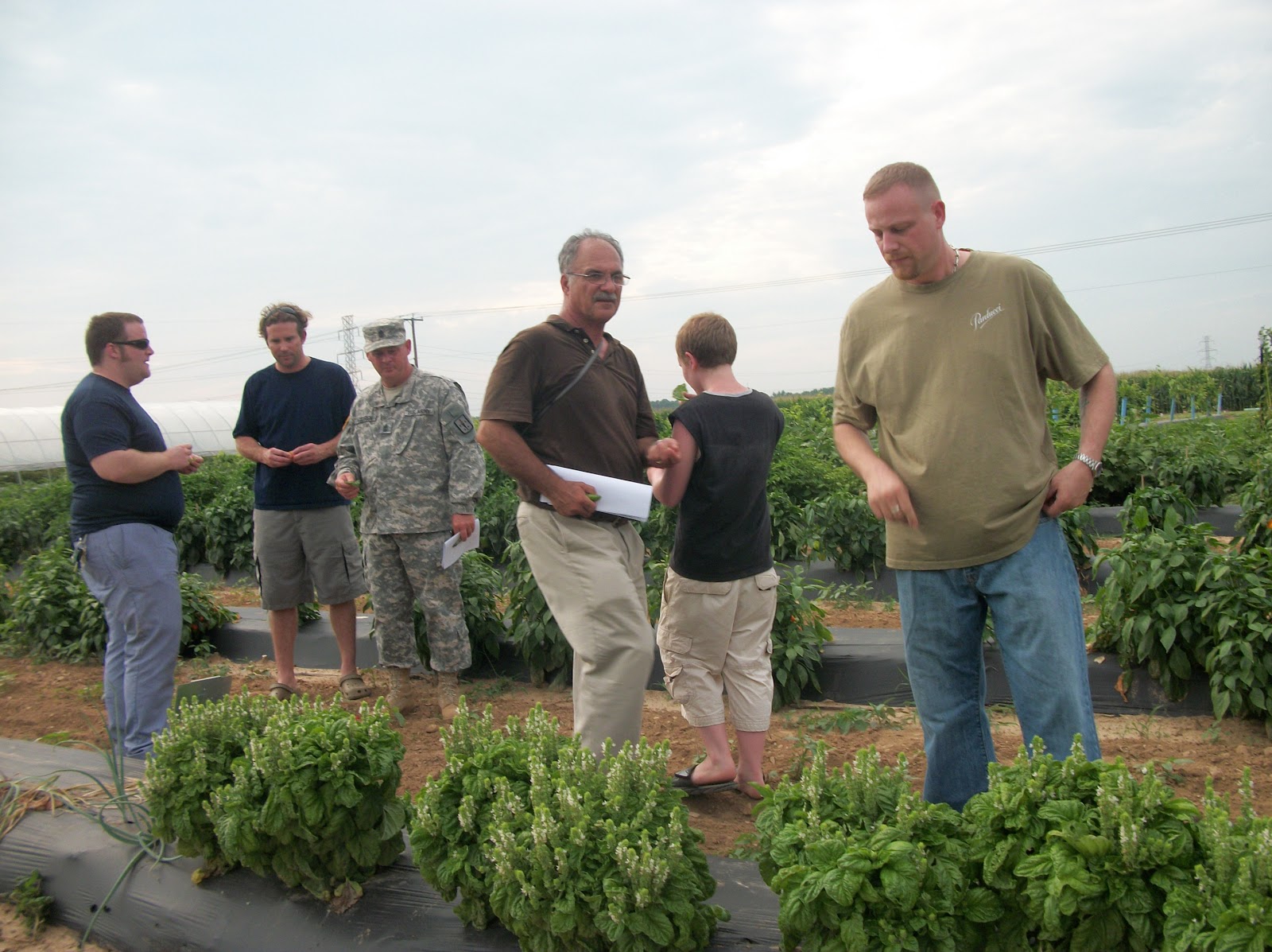 chef sebastian carosi: VSU 8th Annual Commercial Vegetable & Berry ...